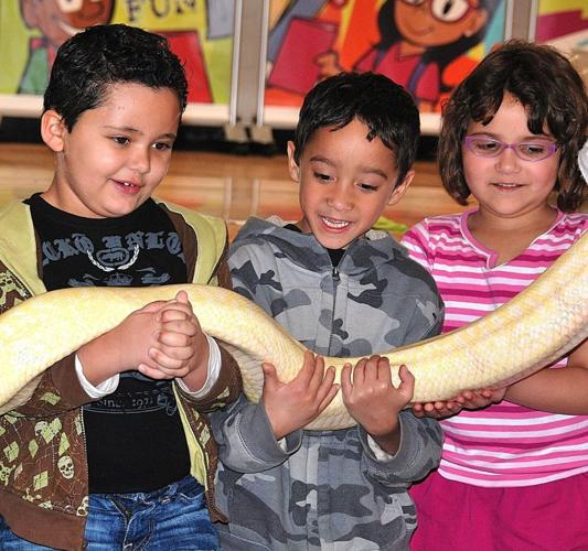 Venturing to handle animals in Marlborough | Education ...