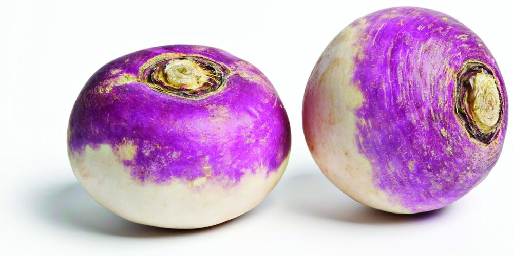 whitish root vegetable