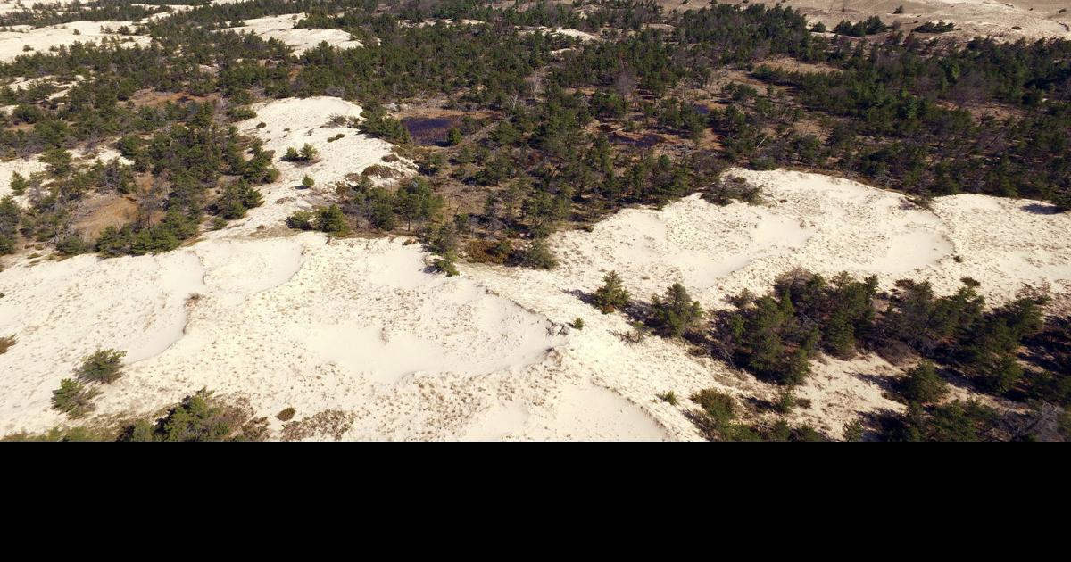 DNR acquires 100 acres of Sargent Sand land | Michigan ...