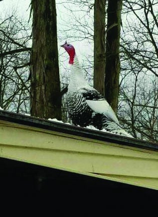 State and Union: Junior EMS putting together care packages for US ...