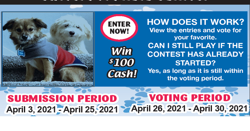 Cutest Pet Photo Contest | Contests | communitynewspapergroup.com