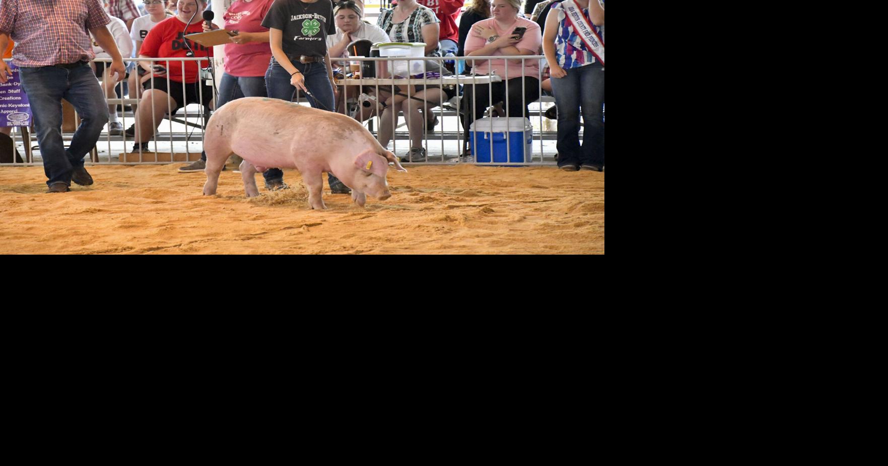 PHOTOS: Benton County Fair pig show | Vinton Newspapers ...