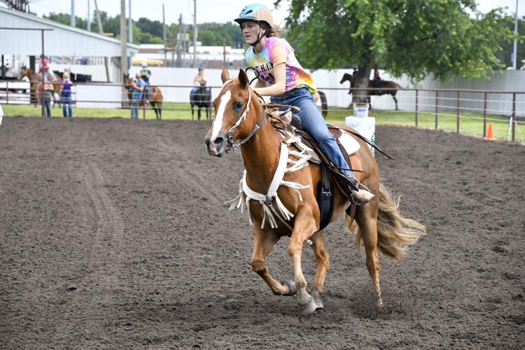 PHOTOS: Benton County Fair horse show | Vinton Newspapers ...