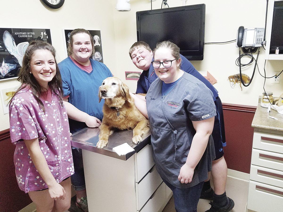 Independence FFA Veterinary Science CDE Team Places 2nd | Independence ...