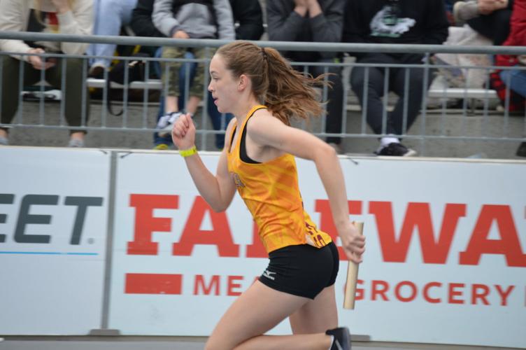Photos: Final day of the Iowa state track and field meet, N-P girls win ...