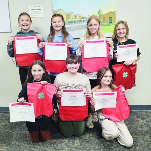 Seven complete 4-H Babysitting Basics | Oelwein Daily Register ...