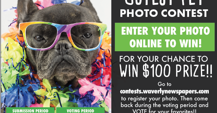 Cutest Pet Photo Contest | Contests | communitynewspapergroup.com