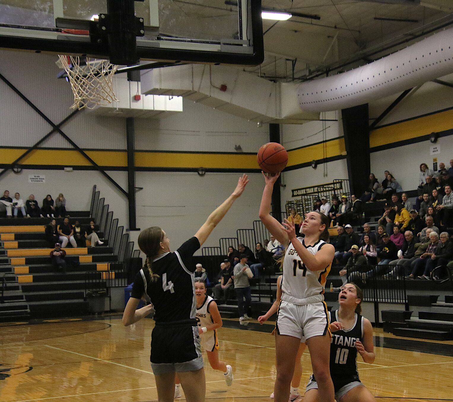 L. Frazell hits record as W-SR dispatches Lions, falls to MV | Sports ...