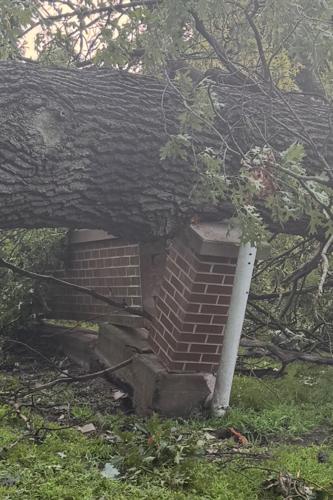 Service Spotlight: Bohlen repairs gate after storm | Waverly Newspapers ...