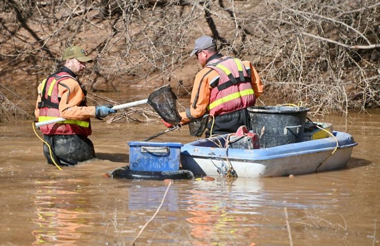 Hundreds of fish rescued from flooded field after dramatic flood ...