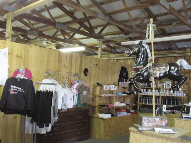 Otsego County Fair will offer new and improved events, vendors | Local ...