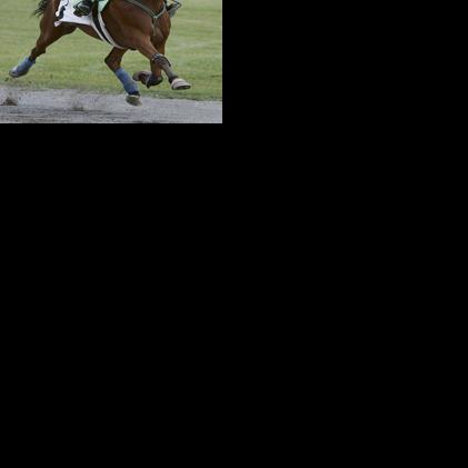 Local standardbred horses to race for state title in Monticello | Local ...
