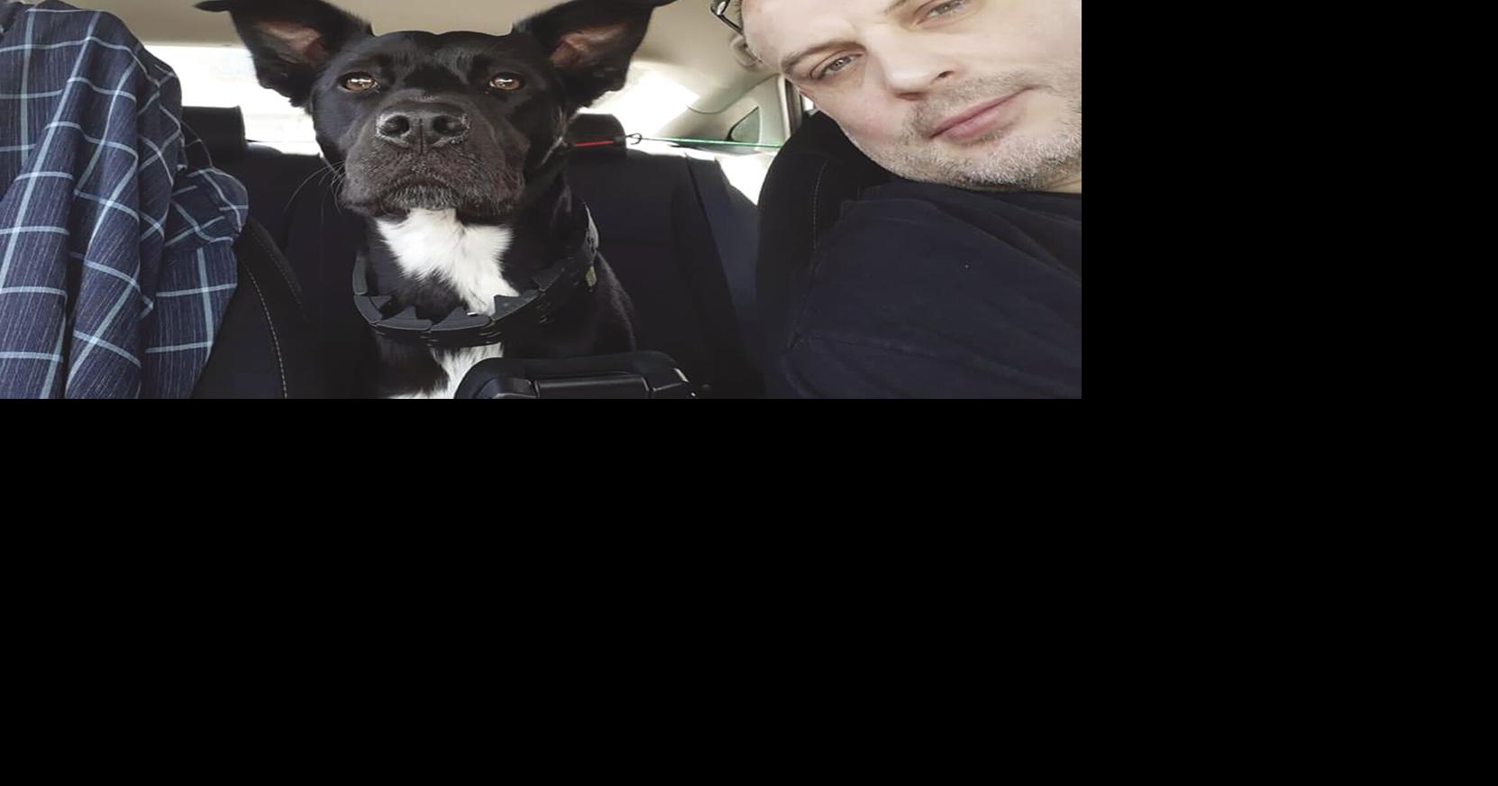 Local group trains service dogs for soldiers | Local News | coopercrier.com