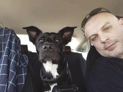 Local group trains service dogs for soldiers | Local News | coopercrier.com