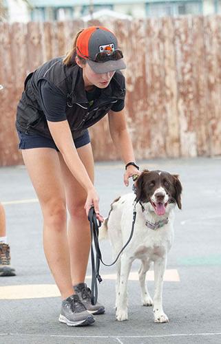 Dogs Take Center Stage At The Scent Work Club Of San Diego | Coronado ...