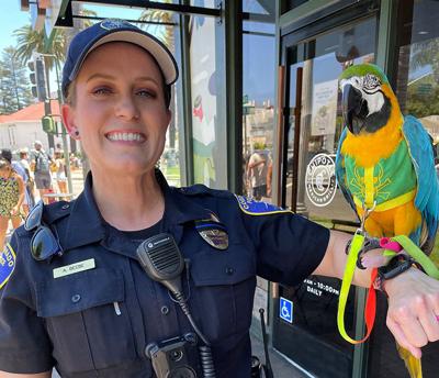 Get To Know Your Coronado Police Department: Patrol Officer Amy Beebe ...
