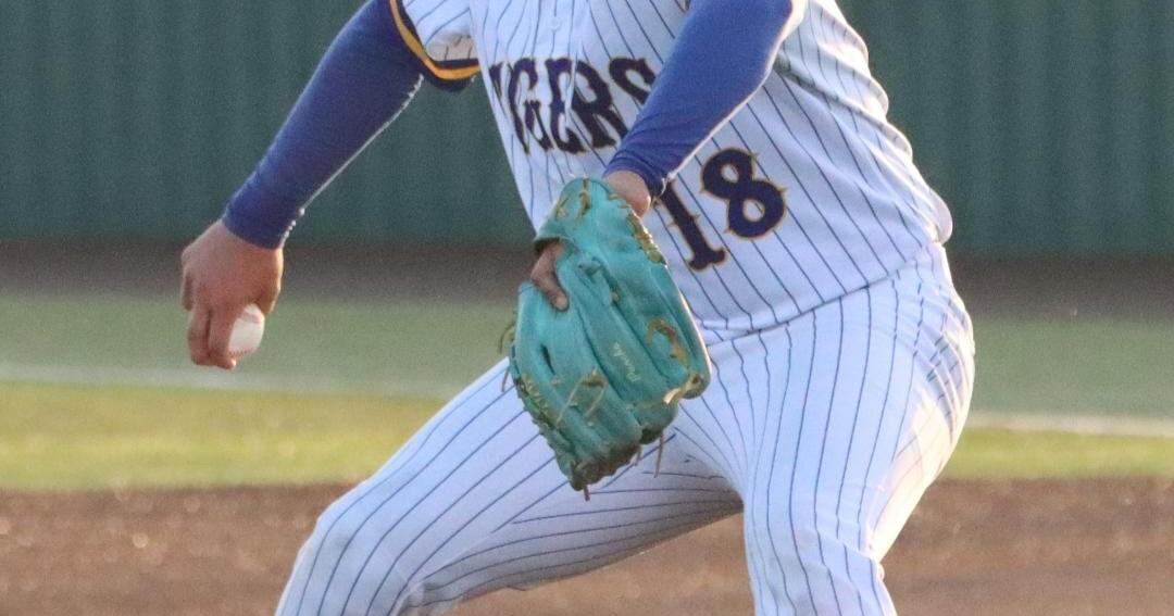 GC Baseball: Tigers enter playoffs right on time | Sports ...