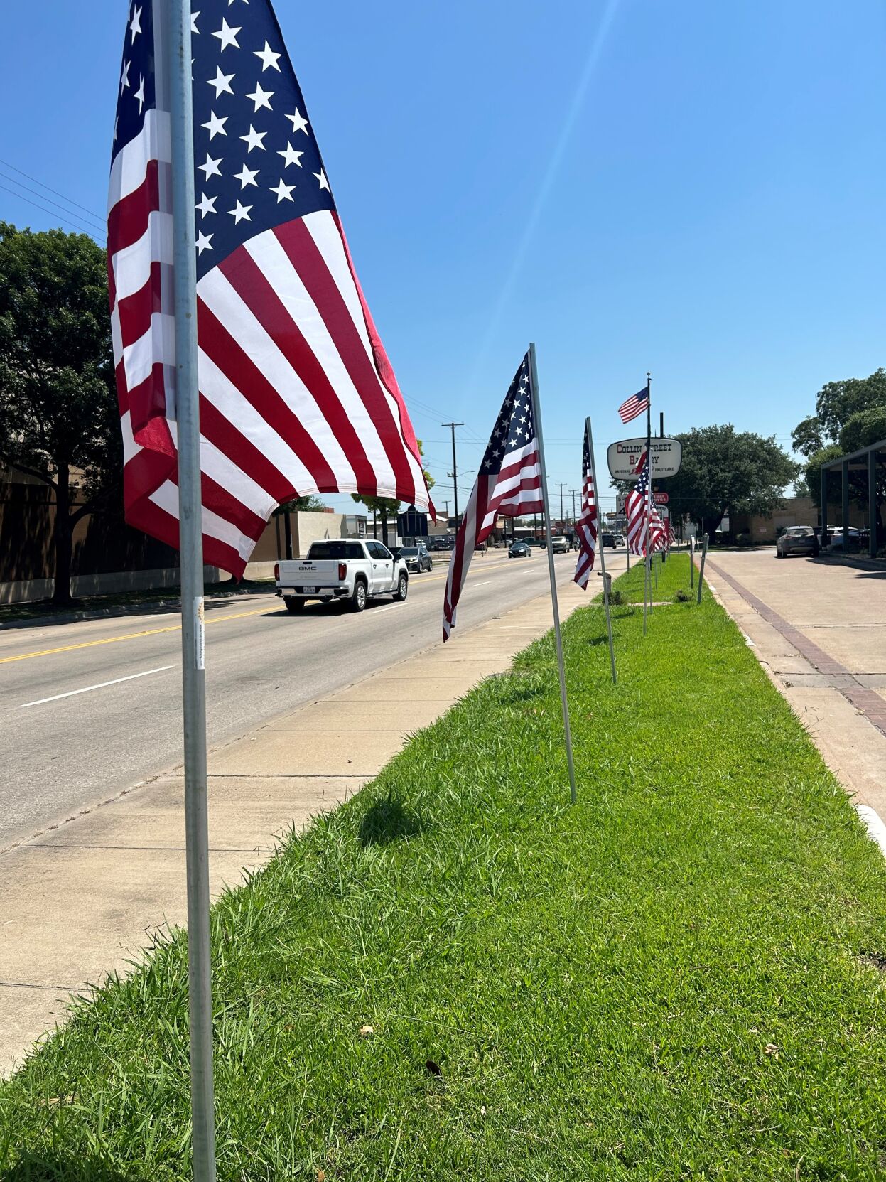 Community Pride Flies with the Rotary Flag Program | News ...