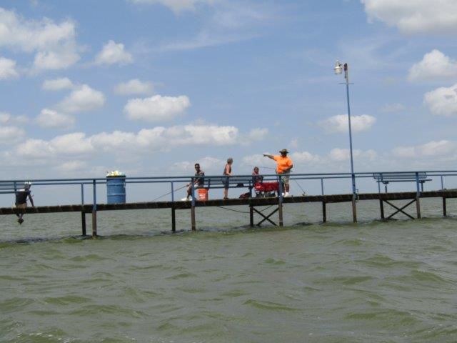 PHOTOS: Summer is in full swing at the Lake Halbert swimming area ...