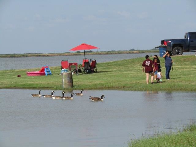 PHOTOS: Summer is in full swing at the Lake Halbert swimming area ...