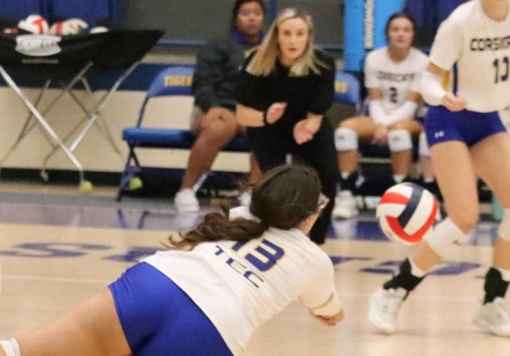 Photos: Lady Tiger volleyball photos vs Ferris | Sports ...