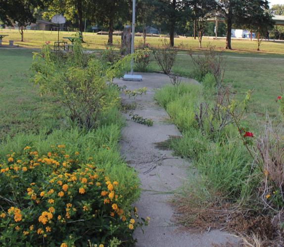 Dotson has big dreams for Dawson Park | News | corsicanadailysun.com