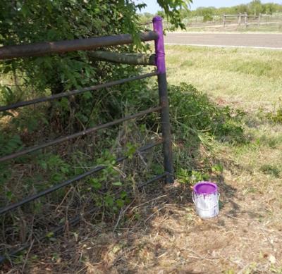 Alternative trespasser deterrent comes with requirements | News ...