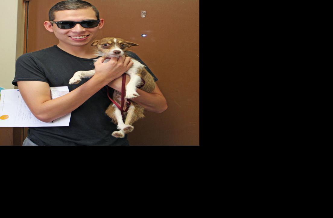 Reunited, it feels so good — Man finds dog through Daily Sun article ...