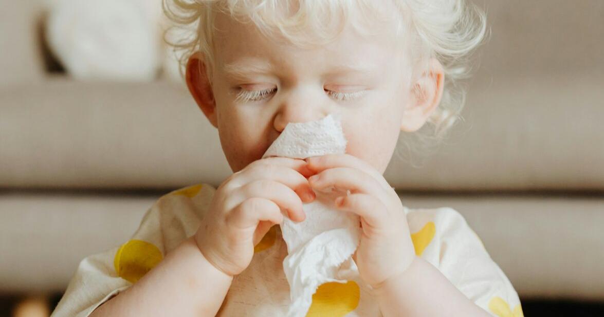 Winds carry Cedar Fever | News | corsicanadailysun.com