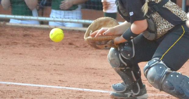 Nine GC players honored on TSWA All-State softball teams | Sports ...