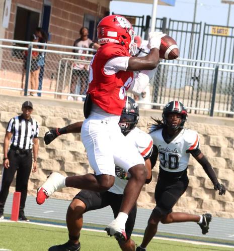 Navarro Football: Bulldogs crush TVCC 61-10 | Sports ...
