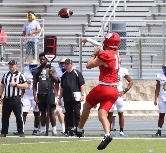 Navarro Football: No. 7 Bulldogs hammer NEO 48-21 to stay perfect ...