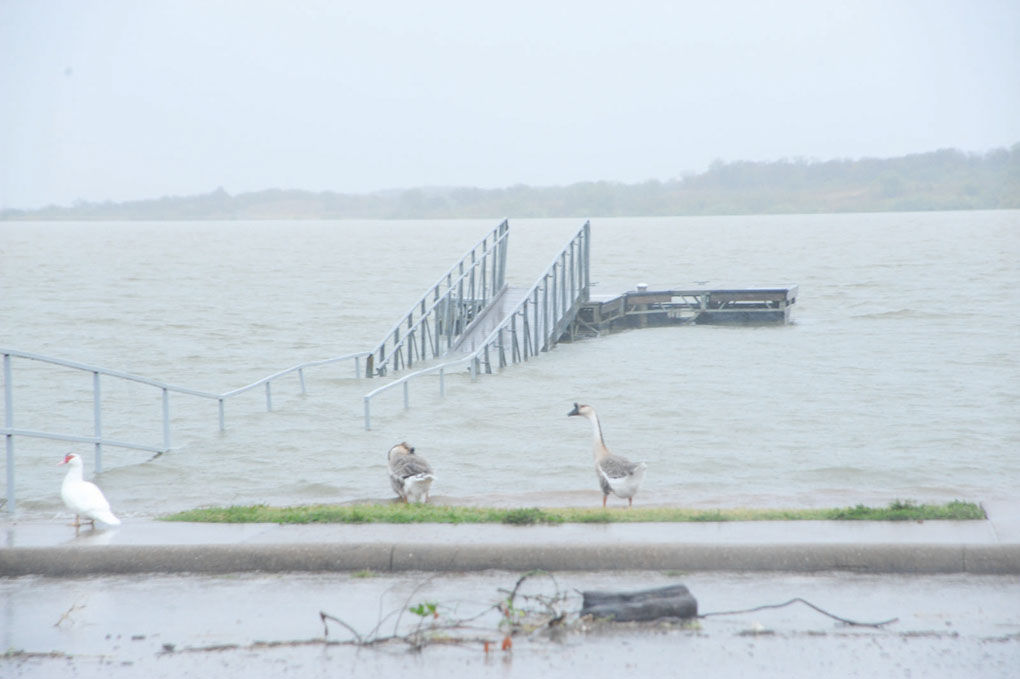 Rv Park Richland Chambers Lake at Lynn Potter blog