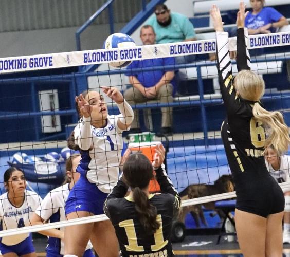 GC Volleyball: Blooming Grove Tournament opens season with a Golden Circle Bang | Sports ...