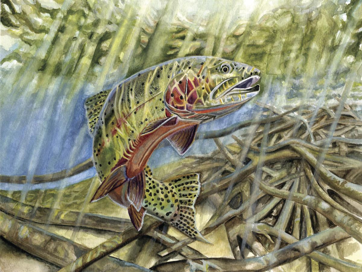 Texas State-Fish Art Contest Announces 2020 Winners | News ...