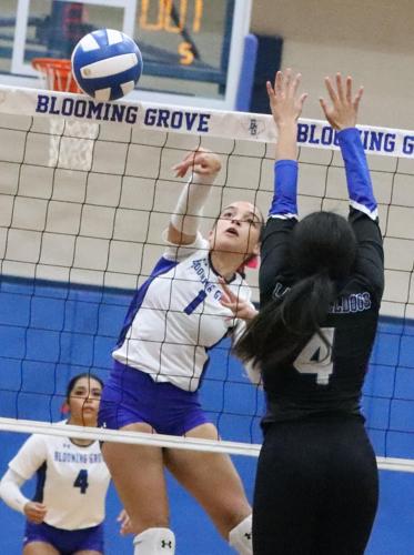 GC Volleyball: Blooming Grove soars to stay in playoff hunt | Sports | corsicanadailysun.com