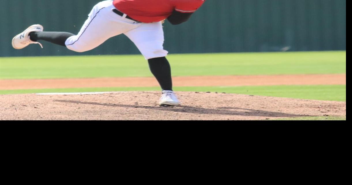 Navarro Baseball: Bulldogs sweep Panola | Sports | corsicanadailysun.com