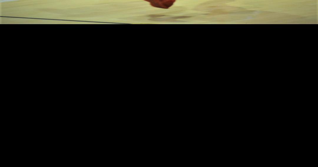 Navarro Basketball: Bulldogs start over with 77-60 win over Coastal ...