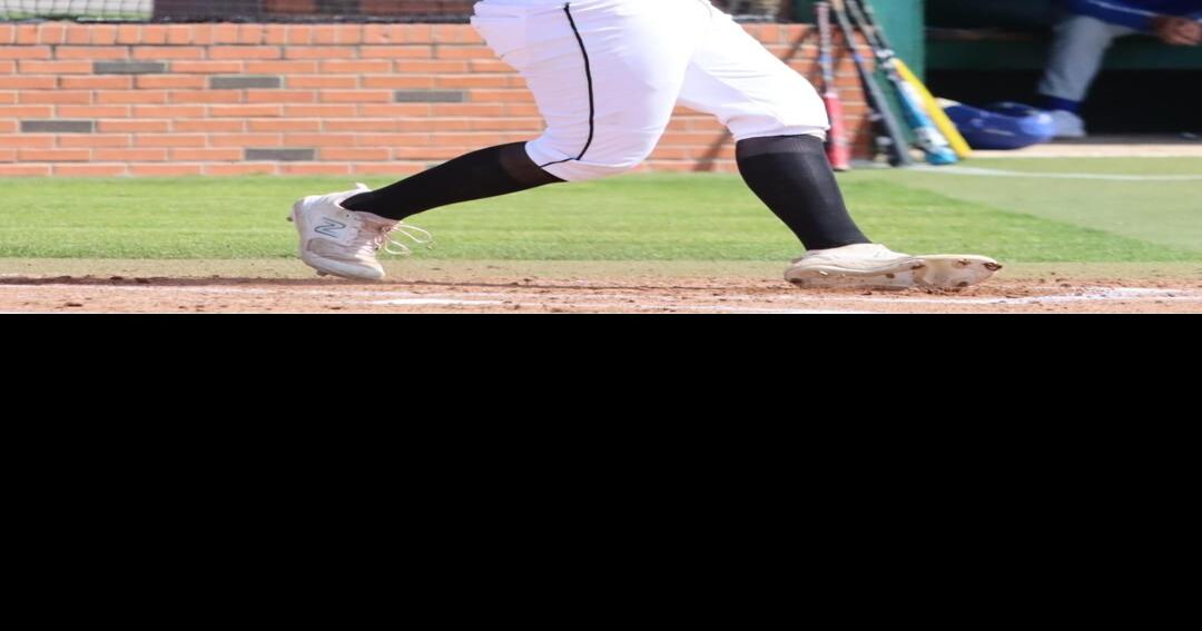 Navarro Baseball: Bulldogs split with Northeast, head for final week ...