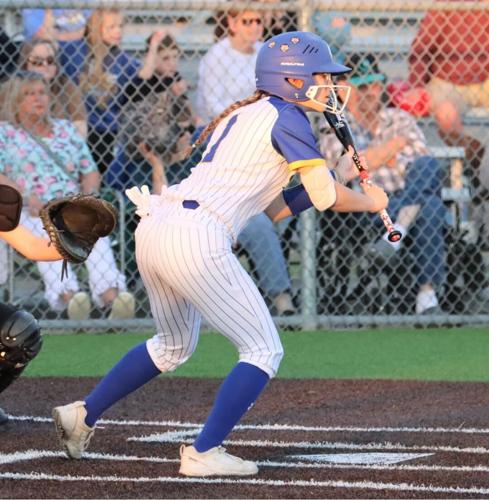 GC Softball: Lady Tigers burst into playoffs | Sports ...