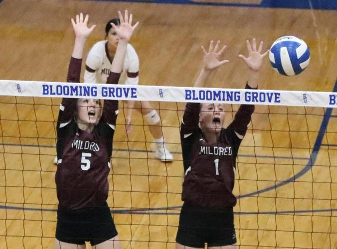 GC Volleyball: Mildred comes back to edge Blooming Grove to forge 3-way ...
