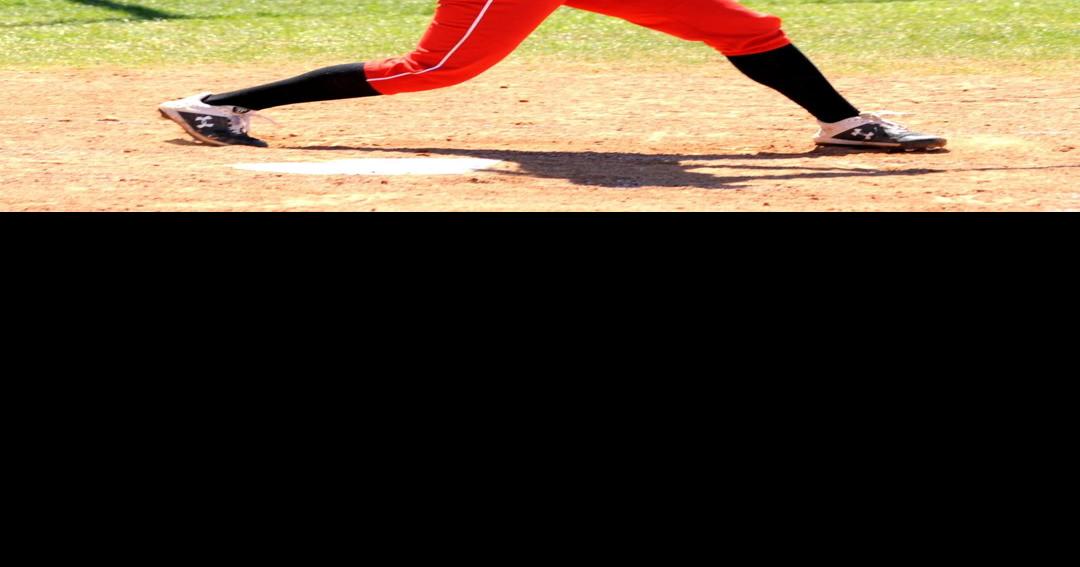 Navarro Softball: Dawgs split conference opener | Sports ...