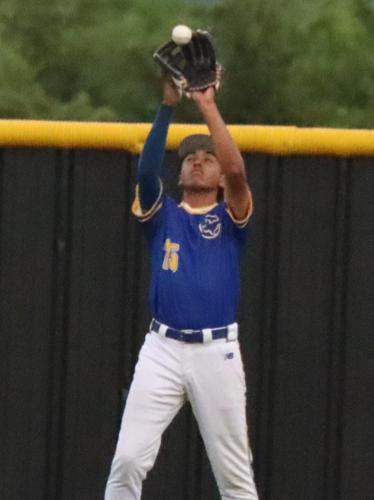 GC Baseball: Tigers lose 3-1 heartbreaker in Game 1 of Area Round ...
