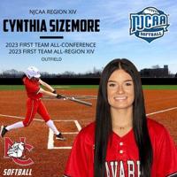 Navarro Softball: Dawgs reap postseason honors | Sports ...