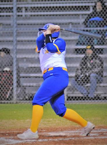GC Softball: Burke drives in 8 in Lady Tigers' 29-6 romp over Cleburne ...