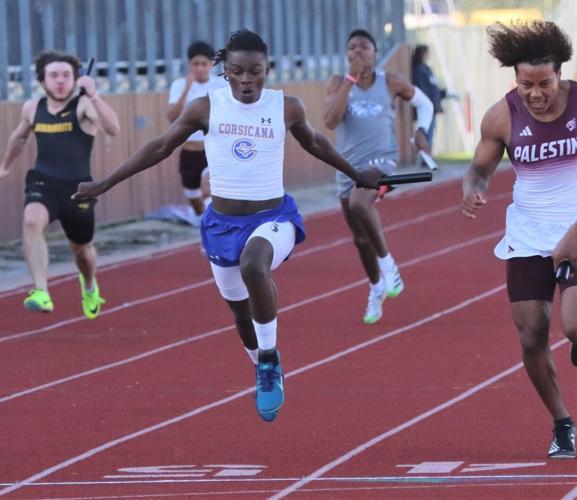 GC Track Photos: Paul Borsellino's Tiger photos from the Bluebonnet ...