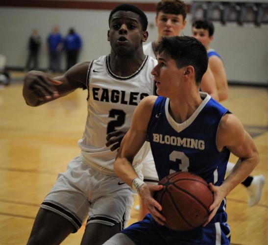 Ron Farmer's photos from the Mildred-Blooming Grove basketball games ...