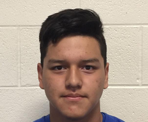 Tigers, Bobcats are JV Players of the Week | Sports | corsicanadailysun.com