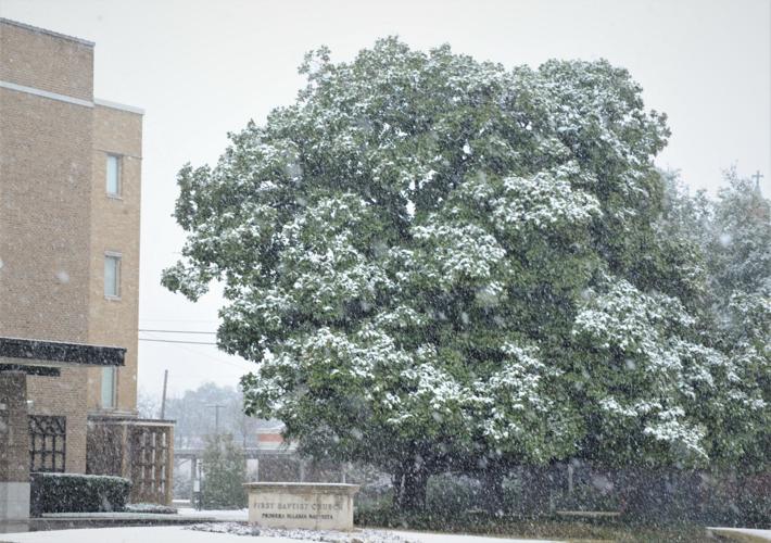 Navarro County enjoys rare snow day | News | corsicanadailysun.com