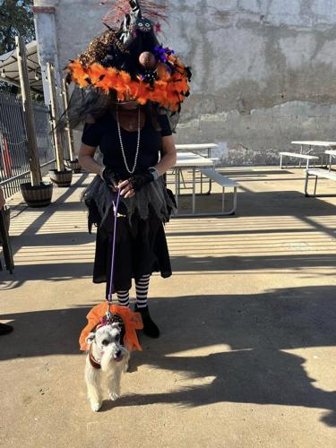 PHOTOS: Witches Night Out enchants Downtown Corsicana | News ...